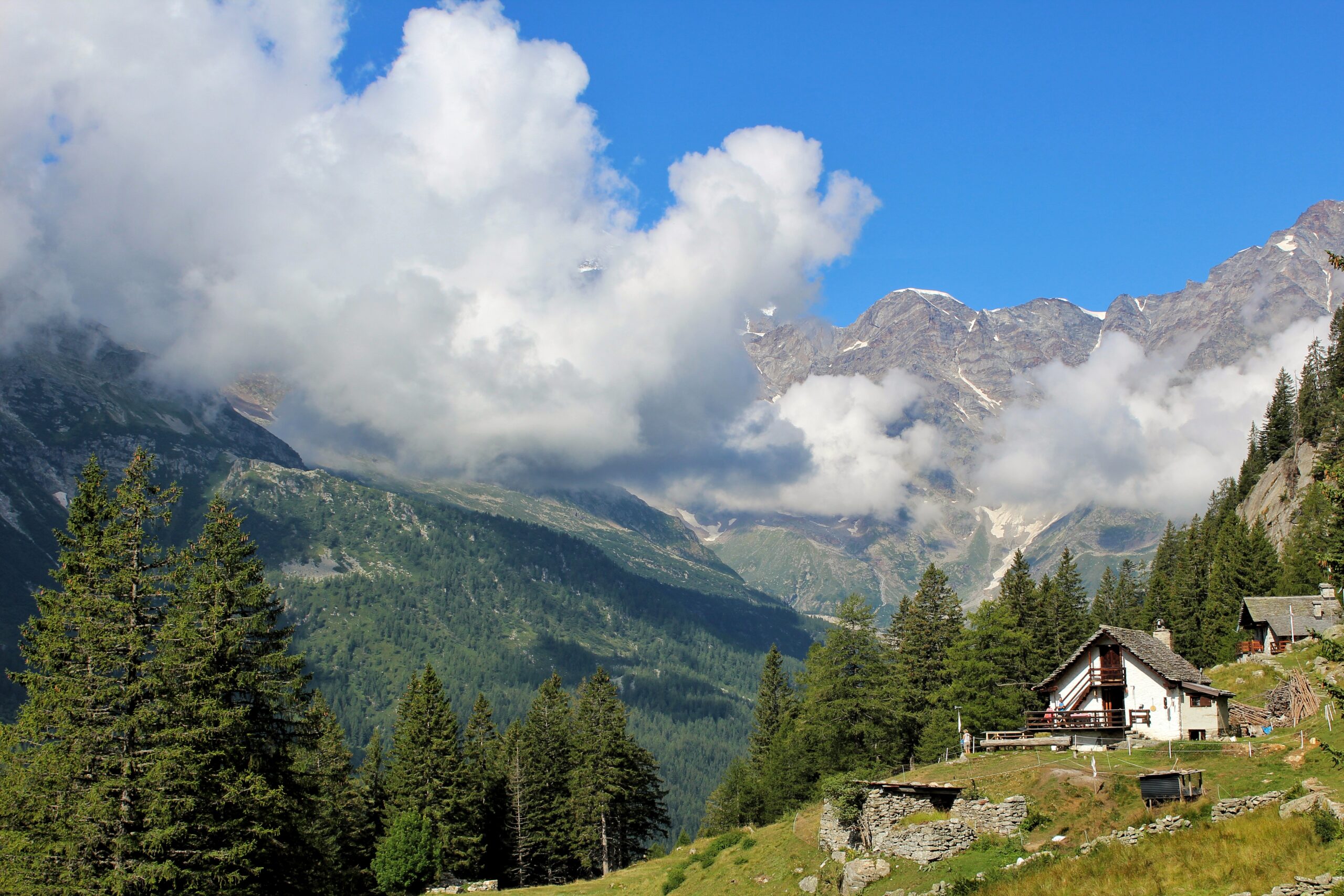 Alpe Cicerwald - #rdbadventure